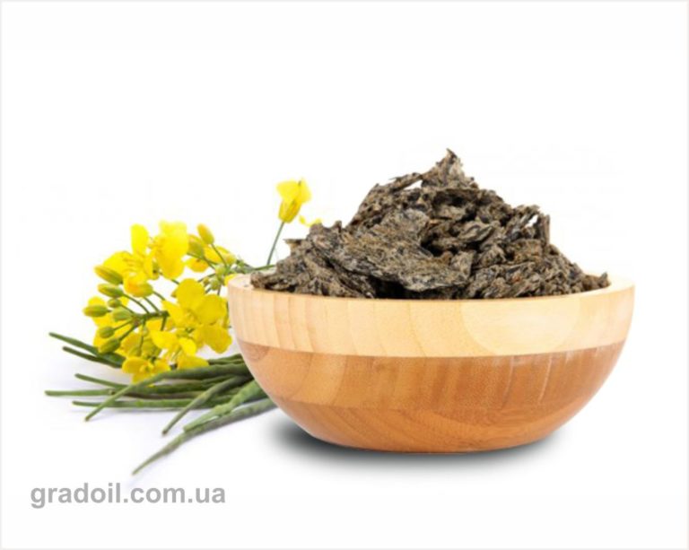 Toasted rapeseed meal - GRADOIL